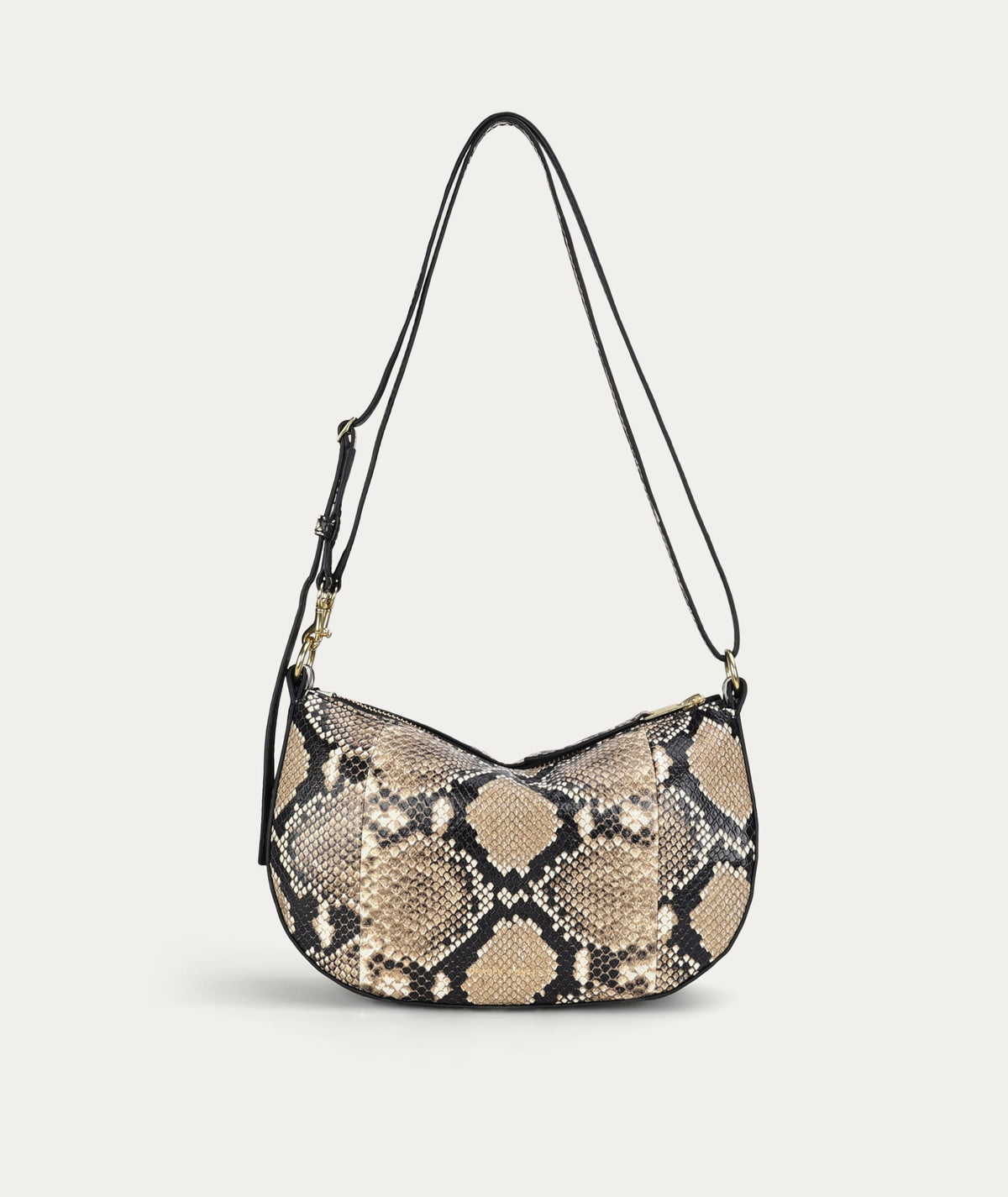 Birch Python – Deadly Ponies