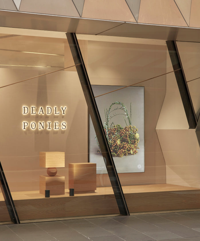 Stores – Deadly Ponies